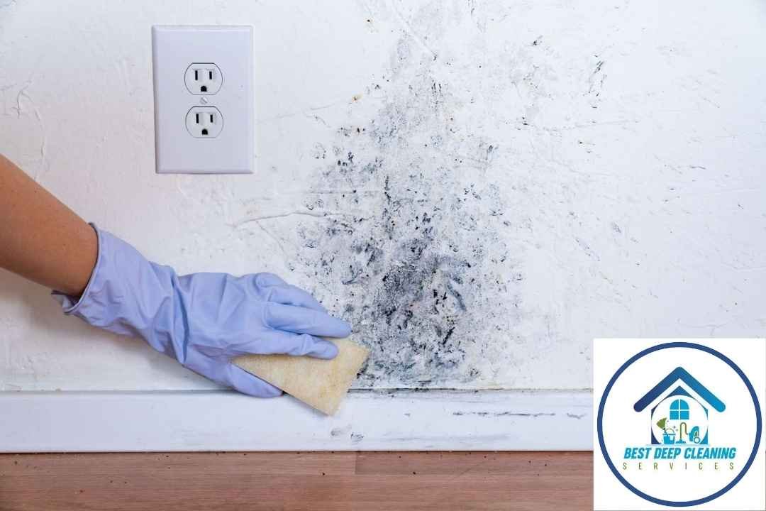 Best Deep Cleaning Services in Dubai | Deep Cleaning Services Dubai